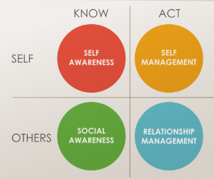 What is emotional intelligence and why is it important? – Emma Hackett